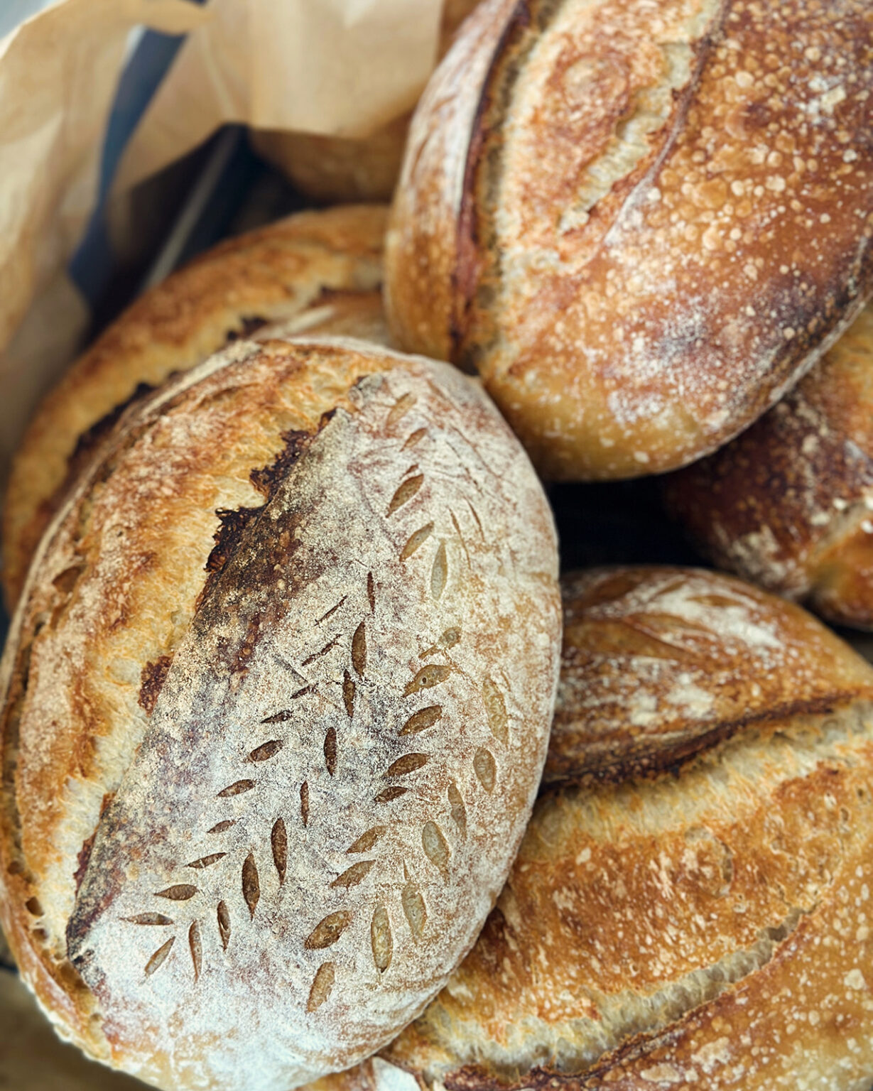 Sourdough Bread Workshop with Chea LaTourette – Long Table Farm